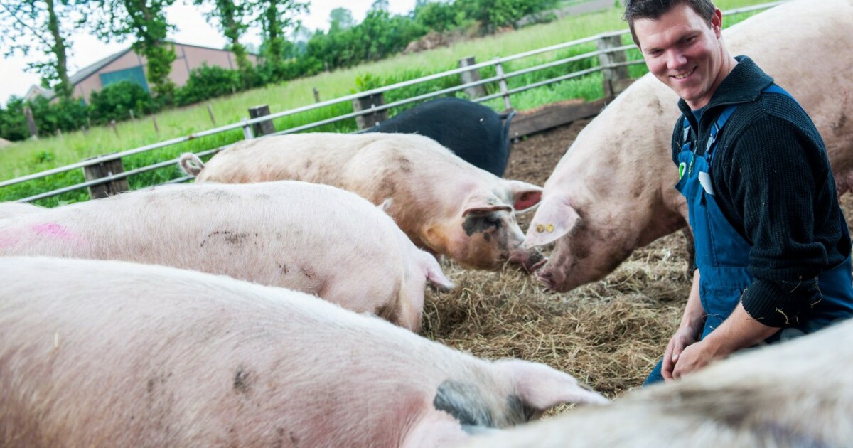 BioPodcast: Biologische varkens van Boer Bas - BioAcademy