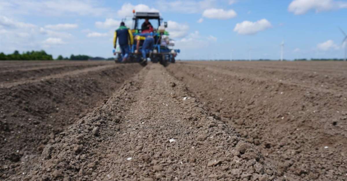 Hoe telen we toekomstbestendige hutspot - BioAcademy